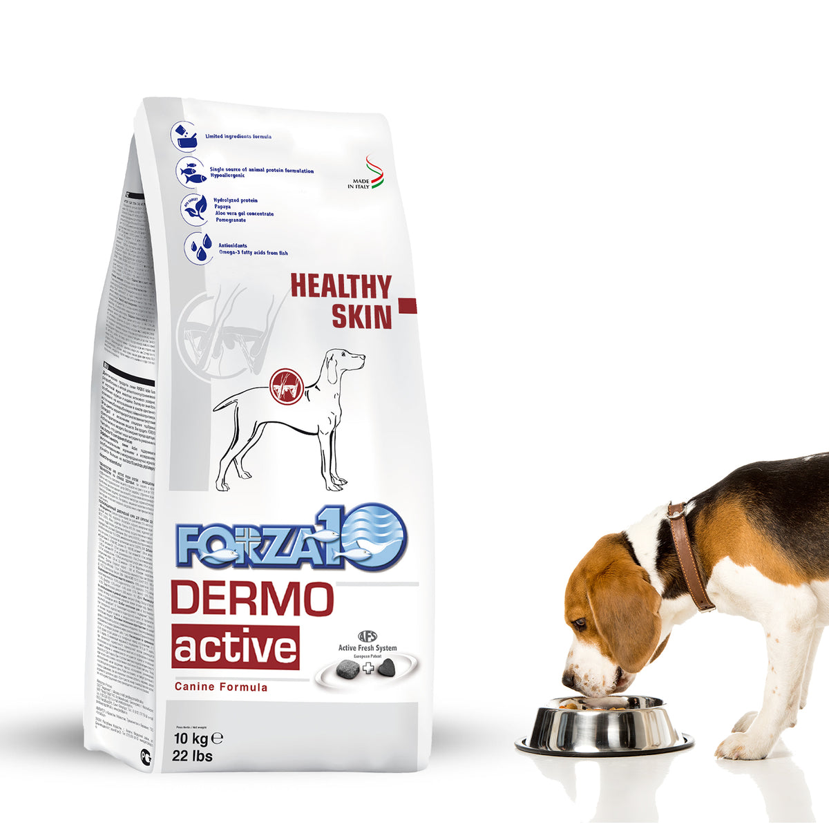 Forza10 Active Dry Dog Dermo: Nourishing Skin Health from the Inside O – Forza10 America