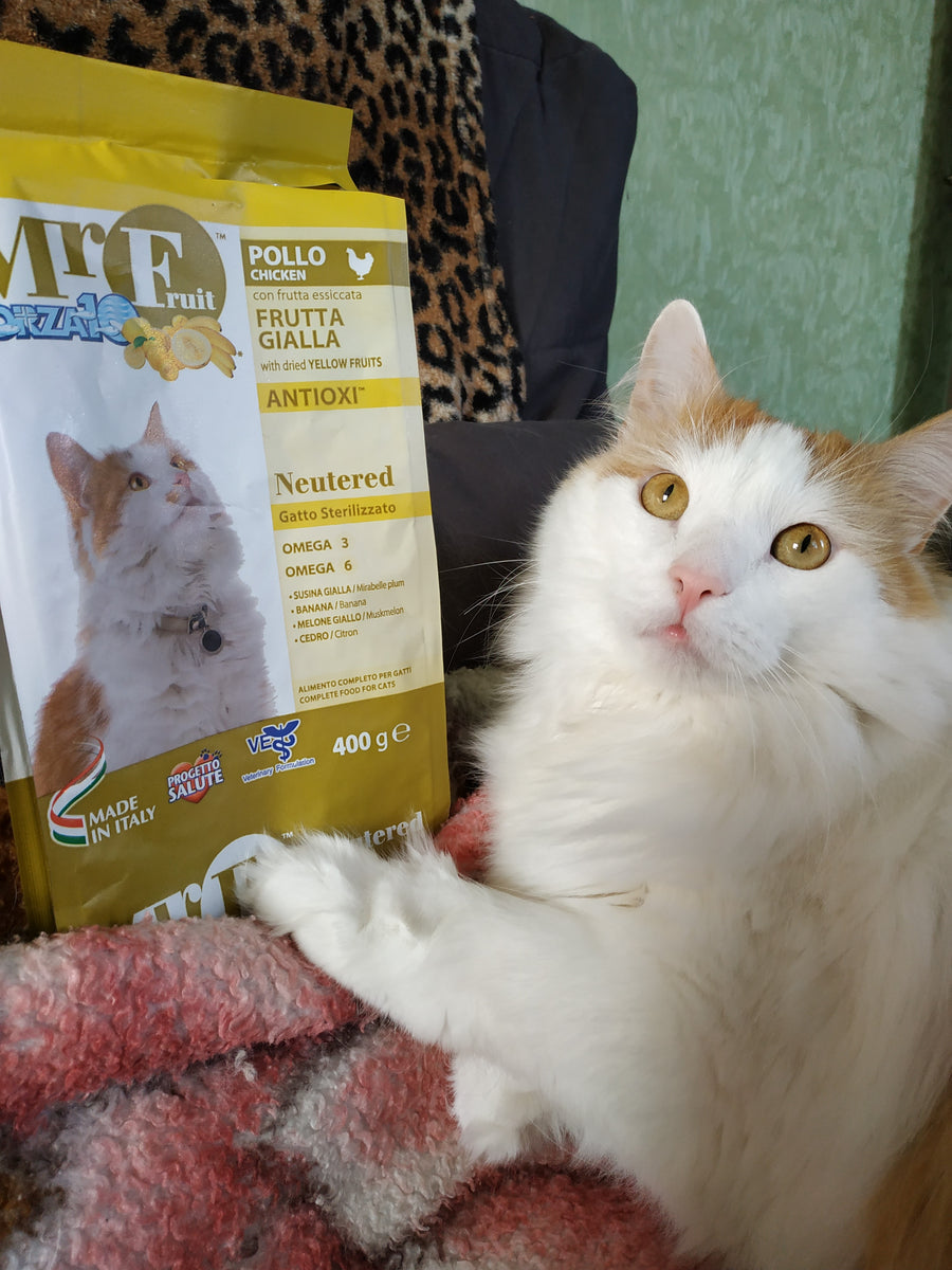 Thank you for your complete food for cats "Mr.Fruit" – Forza10 America