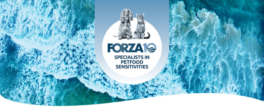 Forza10 - Dog and Cat Food for Pets with Sensitivities – Forza10 America